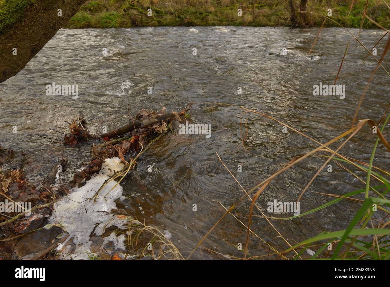 Pollution from agricultural runoff Stock Photo - Alamy