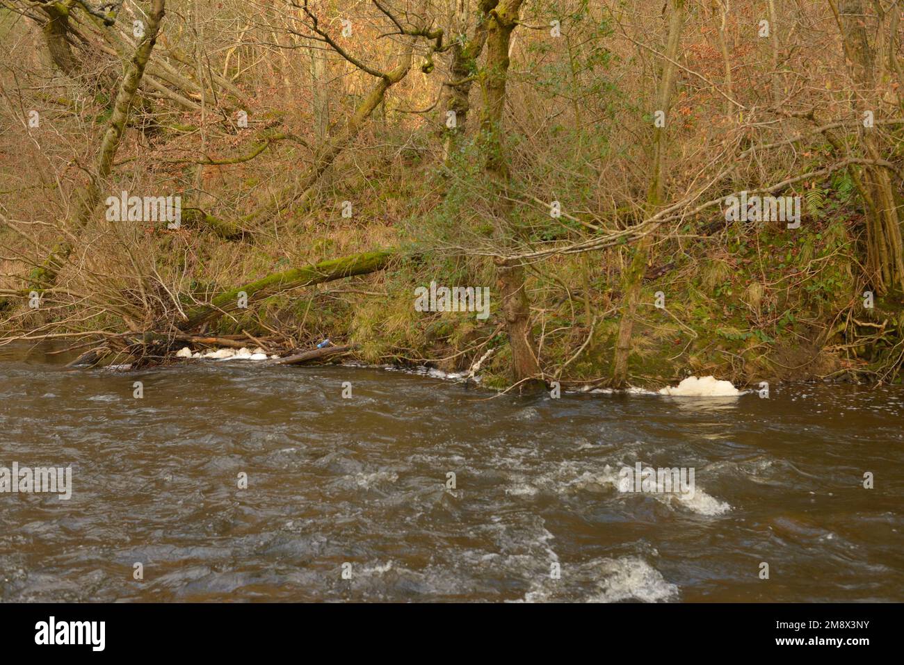 Pollution from agricultural runoff Stock Photo - Alamy