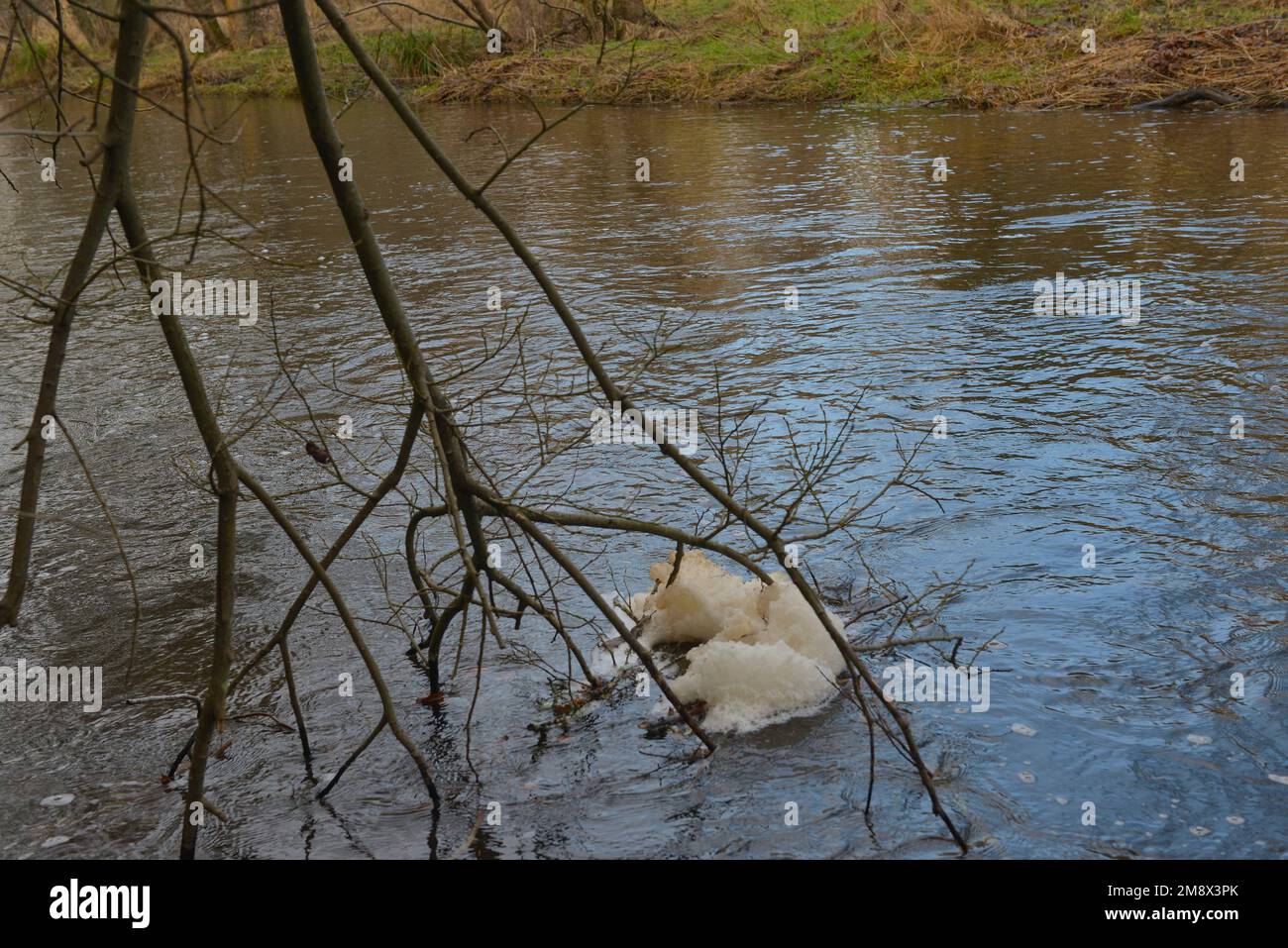 Pollution from agricultural runoff Stock Photo - Alamy