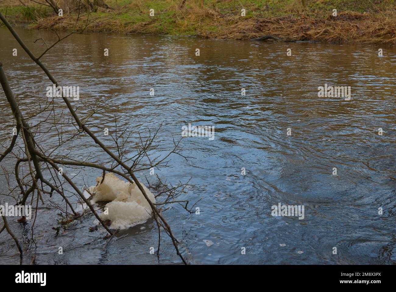 Pollution from agricultural runoff Stock Photo - Alamy