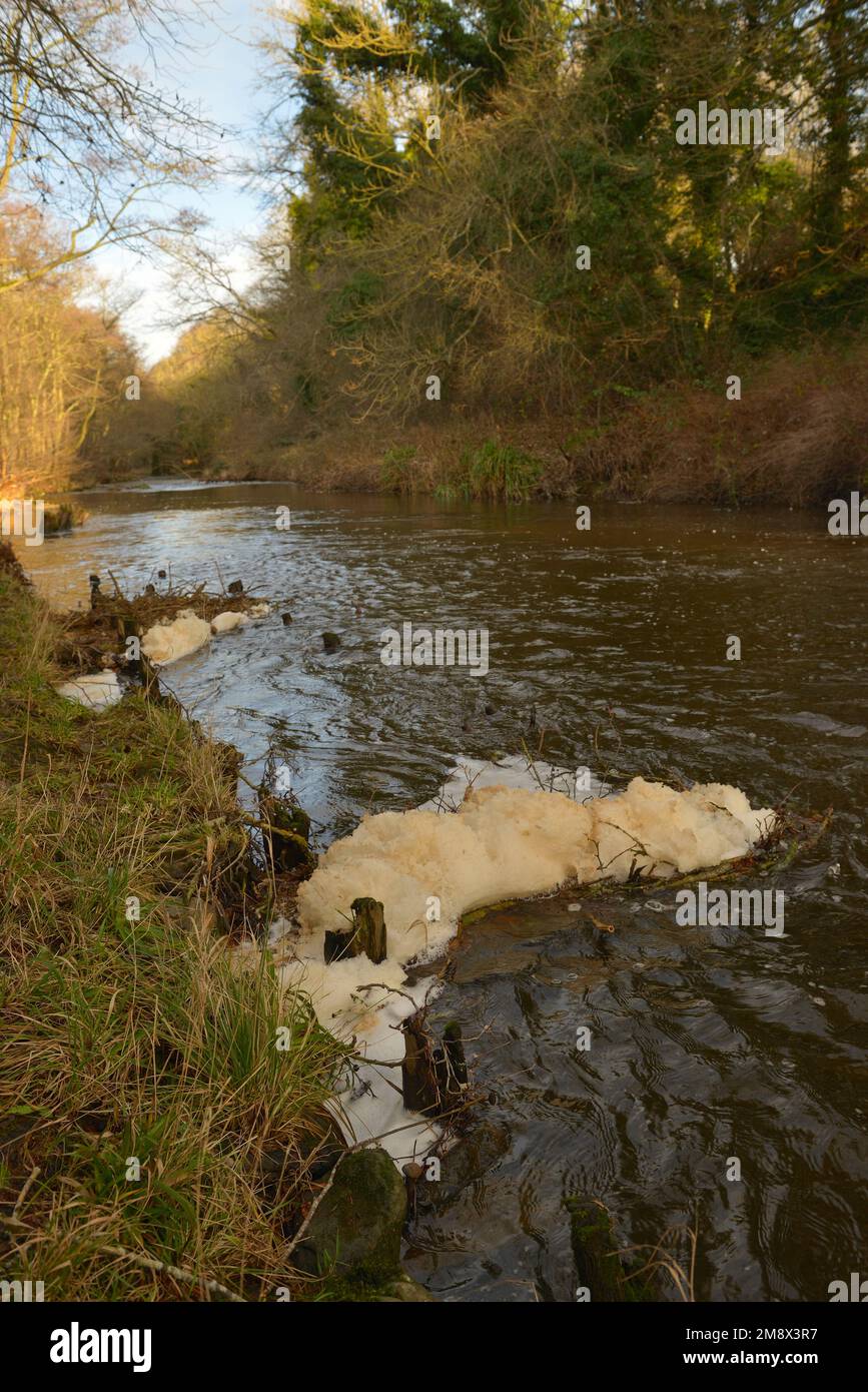 Pollution from agricultural runoff Stock Photo - Alamy