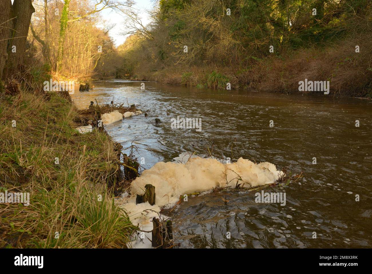 Point source water pollution hi-res stock photography and images - Alamy