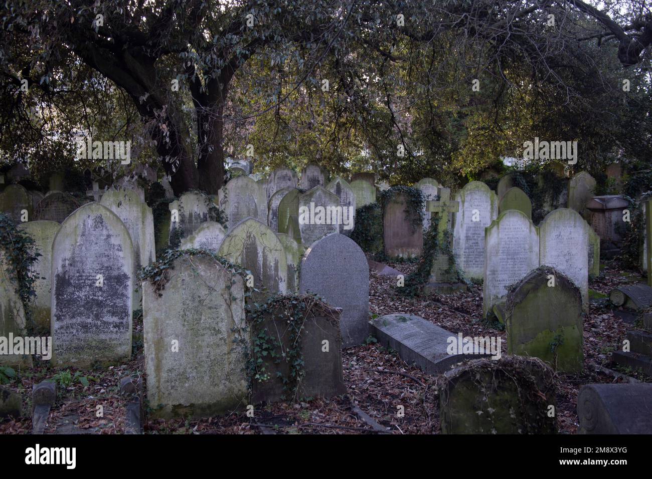 Headstones in Brompton Cemetery, West London England UK Stock Photo - Alamy