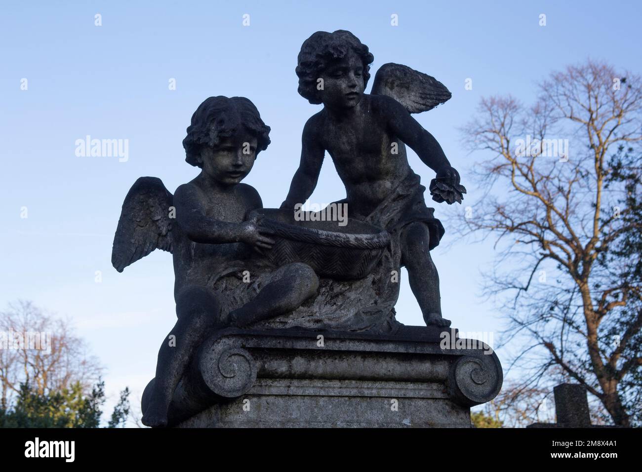 Albert emile schloss hi-res stock photography and images - Alamy