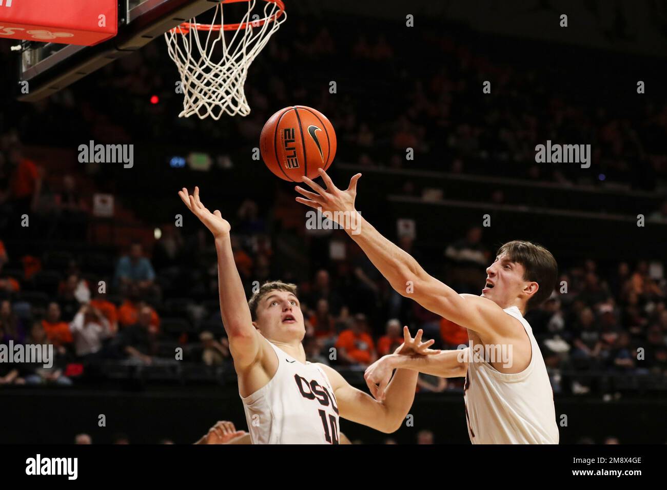 Oregon State's Tyler Bilodeau, left, and Dzmitry Ryuny, right, grab for ...