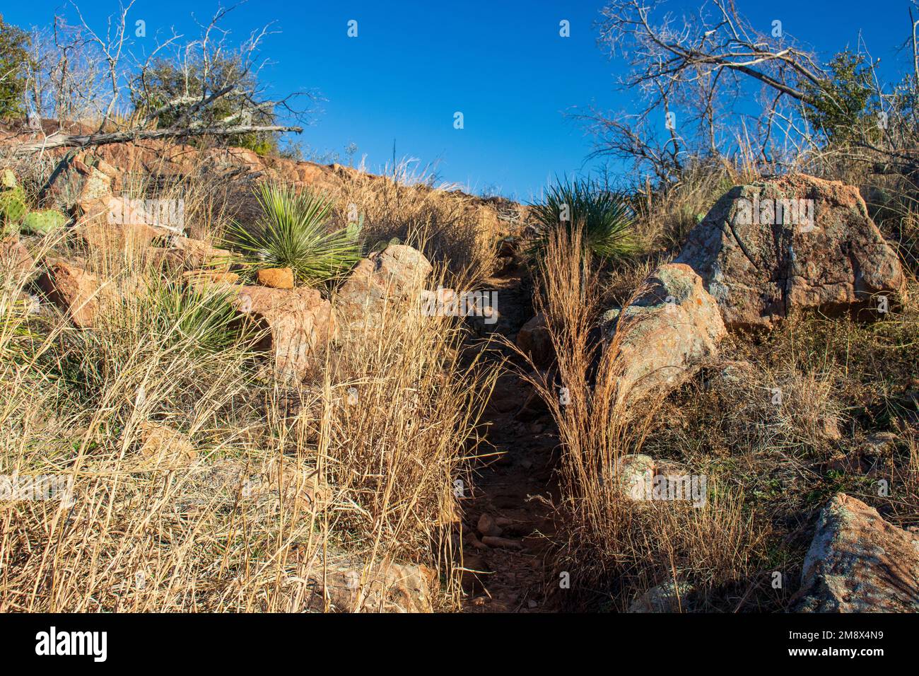 Texas Hill Country hiking trail leads up a hill with colorful granite ...