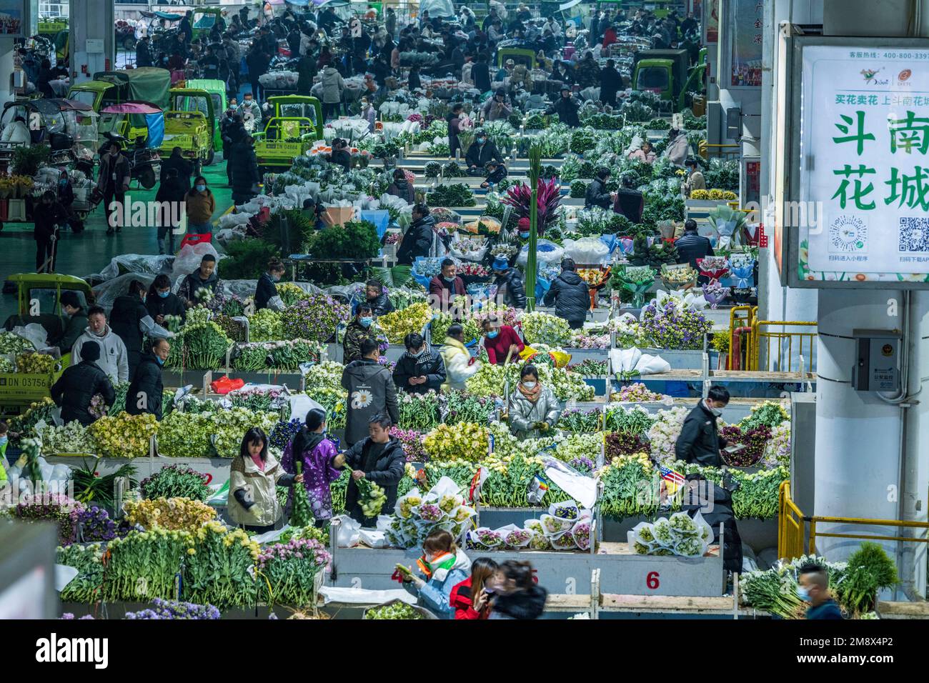 KUNMING, CHINA - JANUARY 15, 2023 - People buy flowers at the Kunming ...