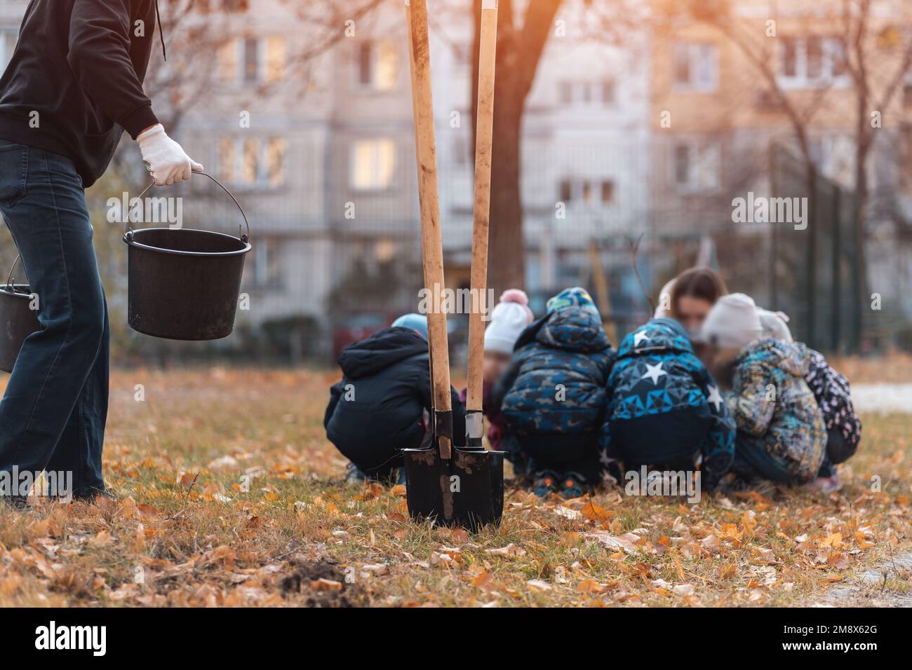afforestation or children learn or help to planting trees outdoor Stock ...