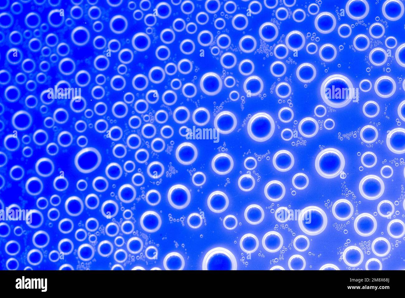 macro Bubbles set. Bubbles blue background.Indigo pattern with white ...