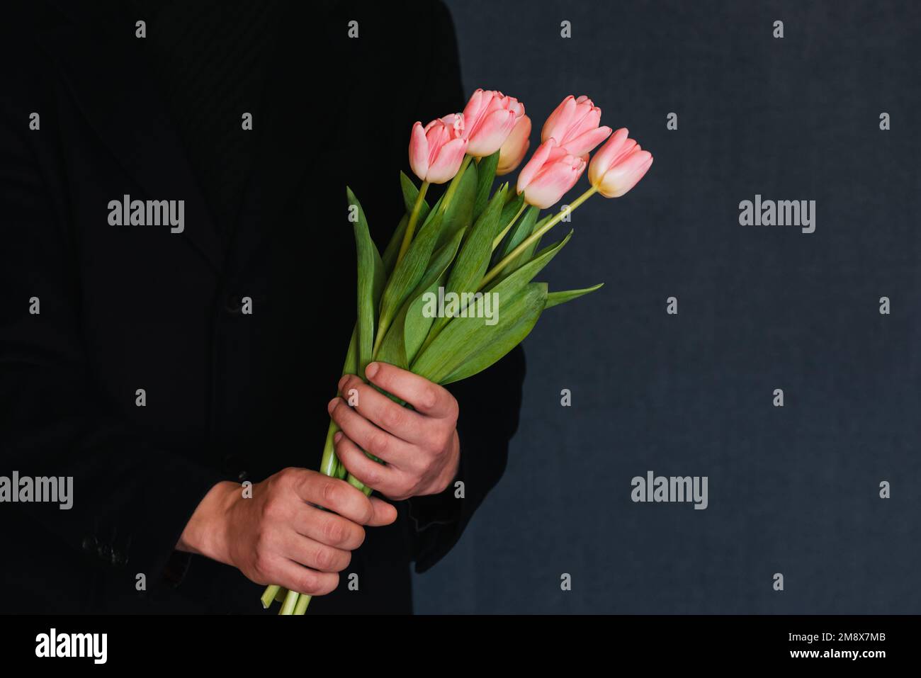 bouquet of pink tulips in the hands of a man in a black coat Stock ...