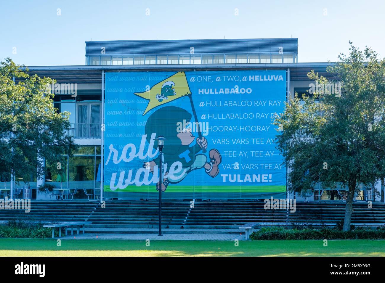 College Pennant Tulane Green Wave Wordmark Pennant Flag - College ...