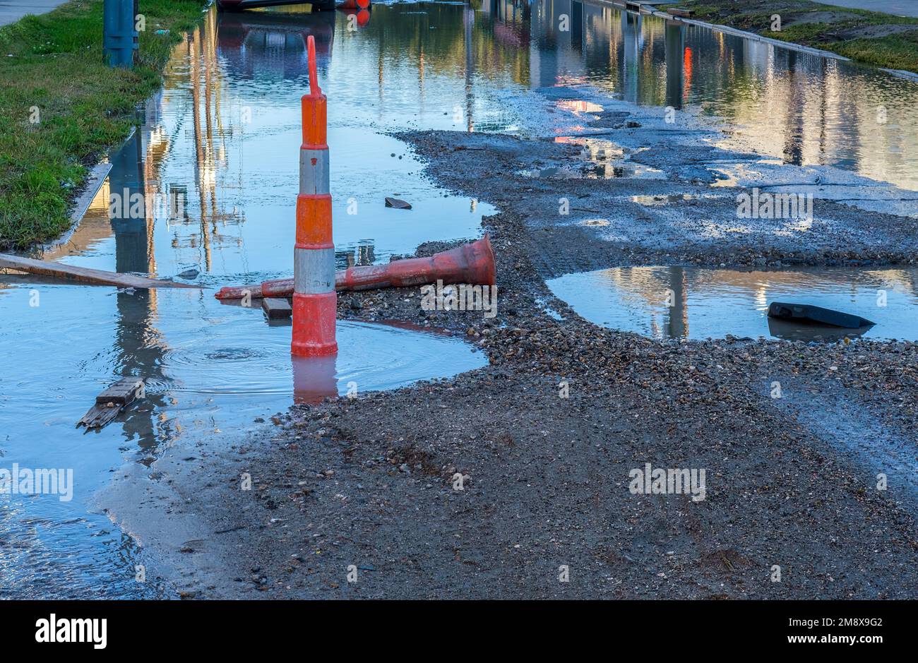 Standing water from underground leaking pipes on an Uptown New Orleans ...