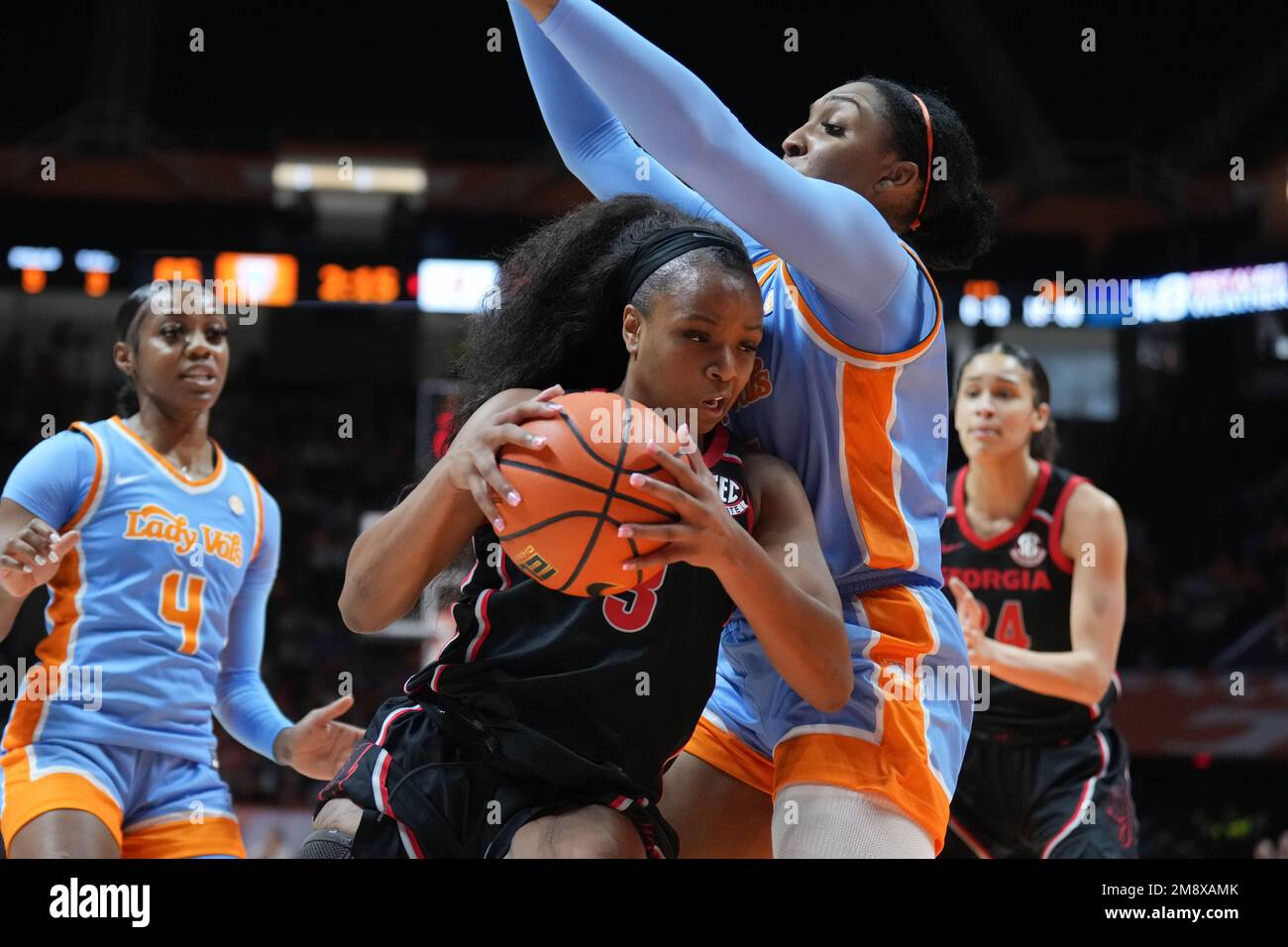 Lady Bulldog Basketball