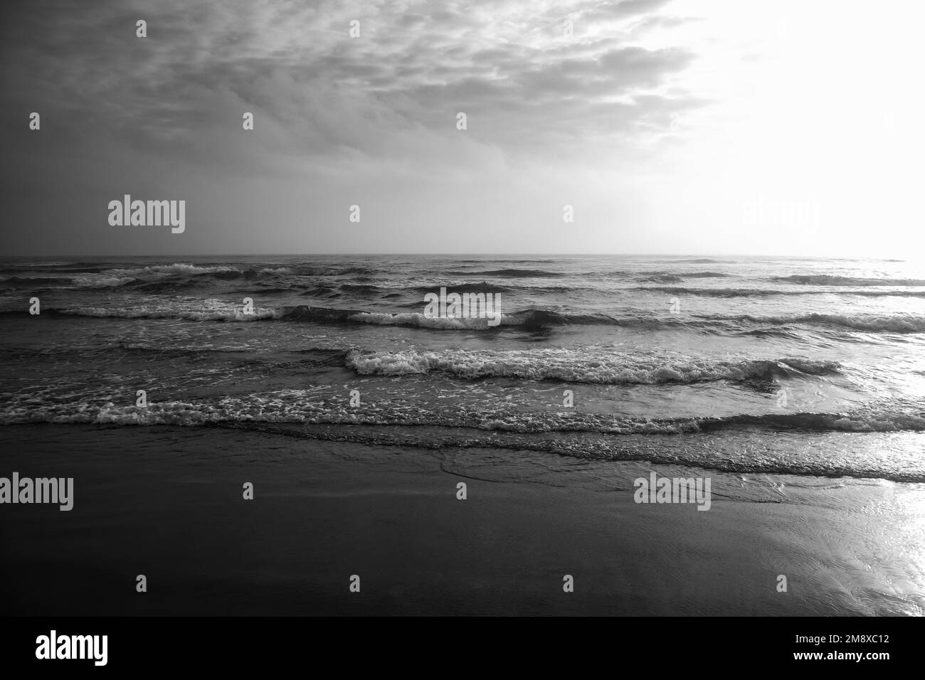 The peace and tranquility of the immense sea in a black and white photo ...