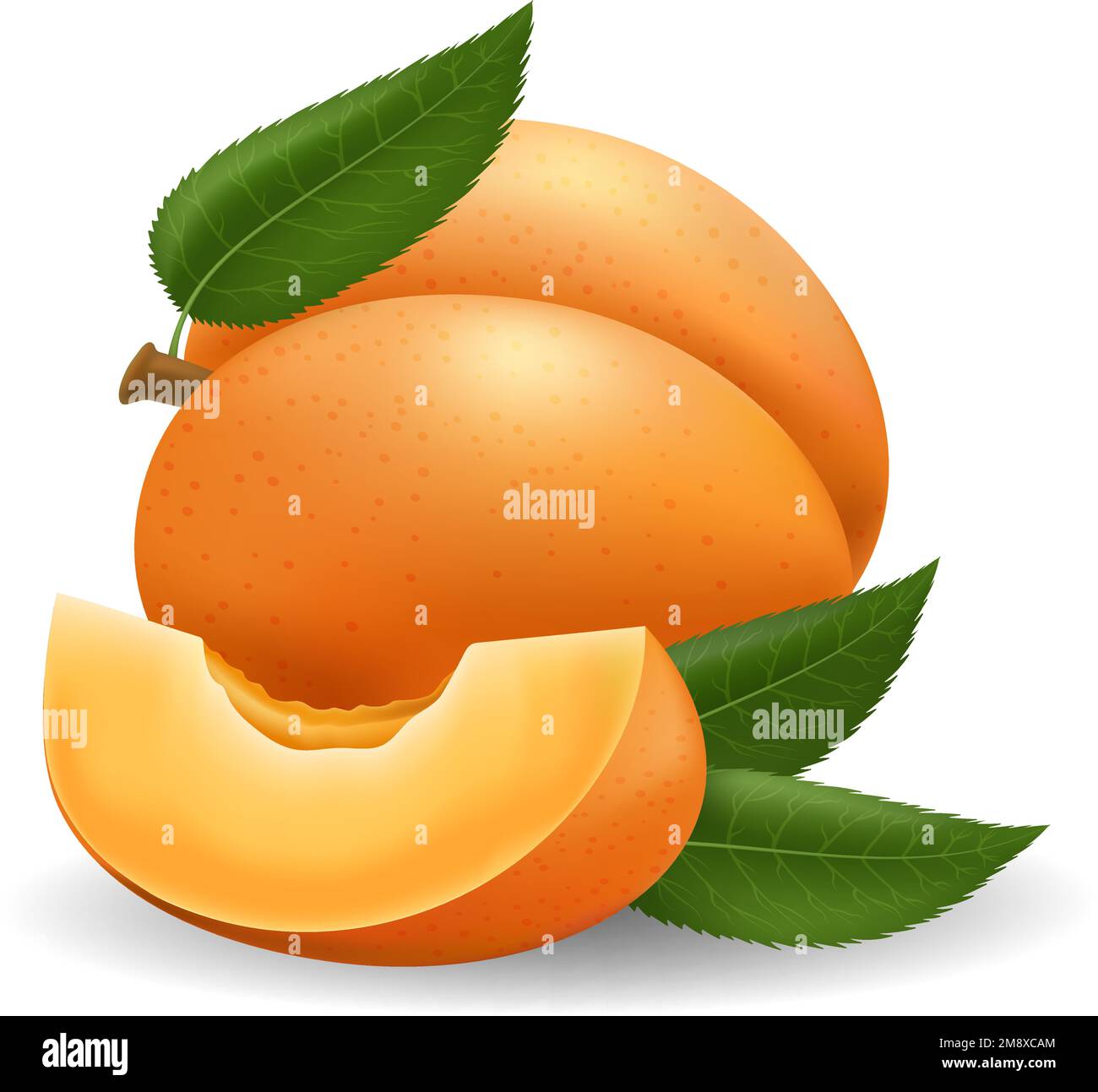 Realistic whole sliced fruits hi-res stock photography and images - Alamy