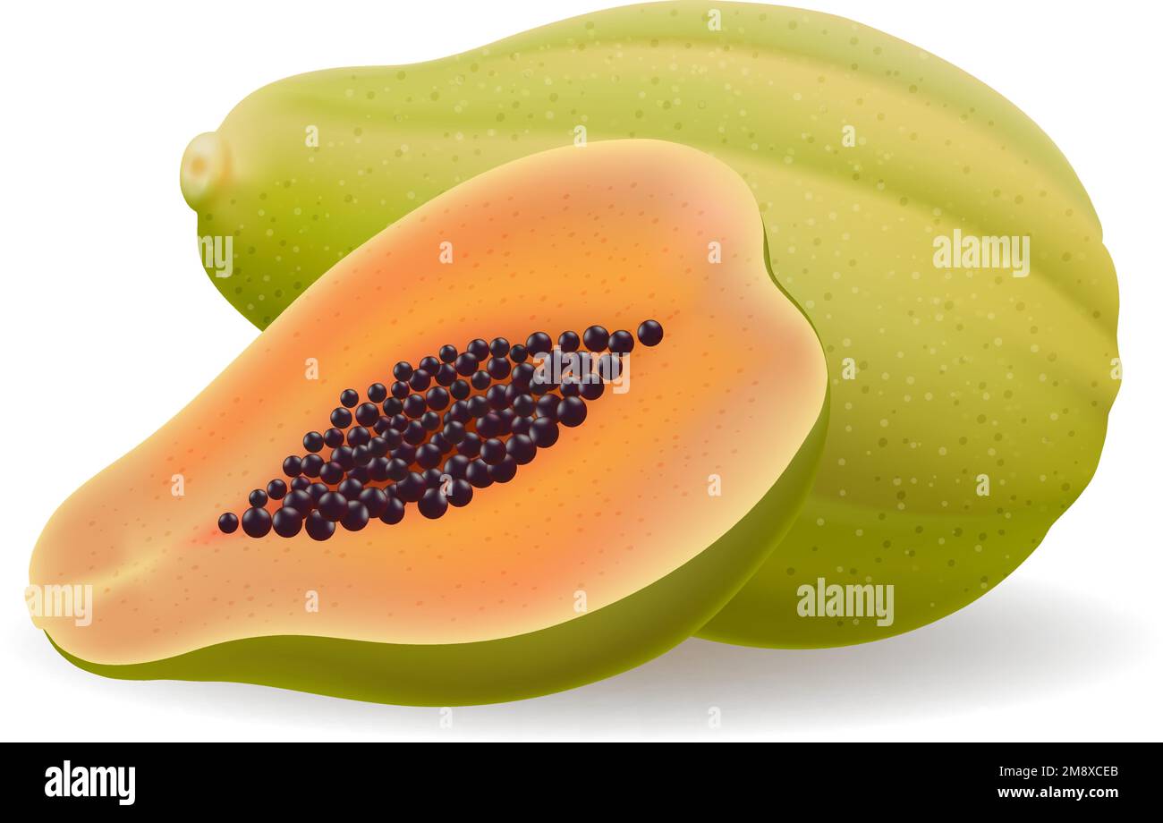 Vector 3d whole sliced Cut Out Stock Images & Pictures - Alamy