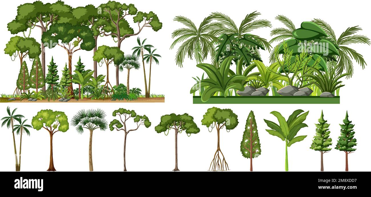 Set of tropical trees isolated illustration Stock Vector Image & Art ...