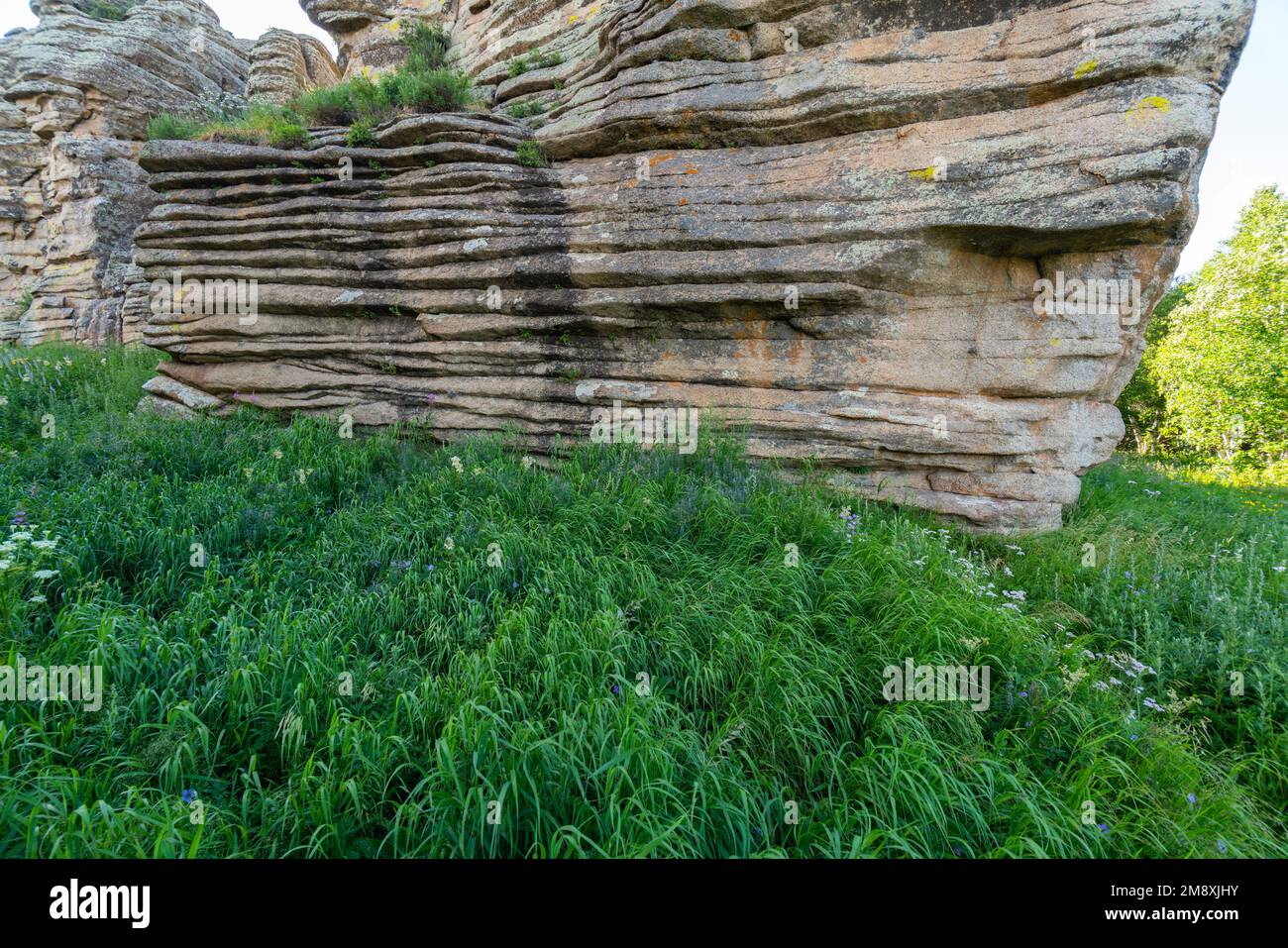 Ha figure stone forest hi-res stock photography and images - Alamy
