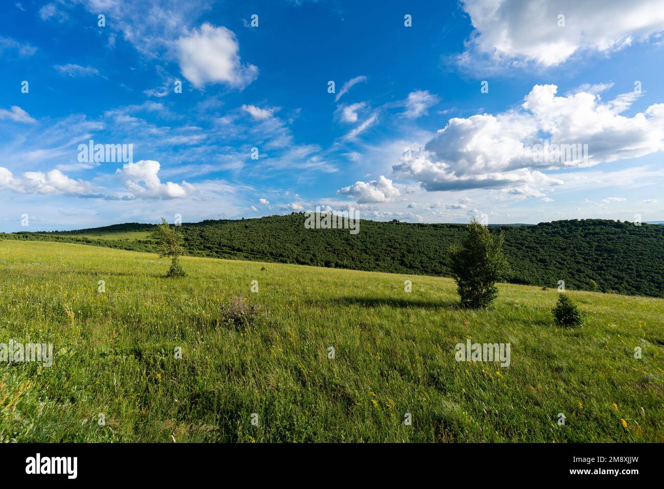 Grassland scenery hi-res stock photography and images - Alamy