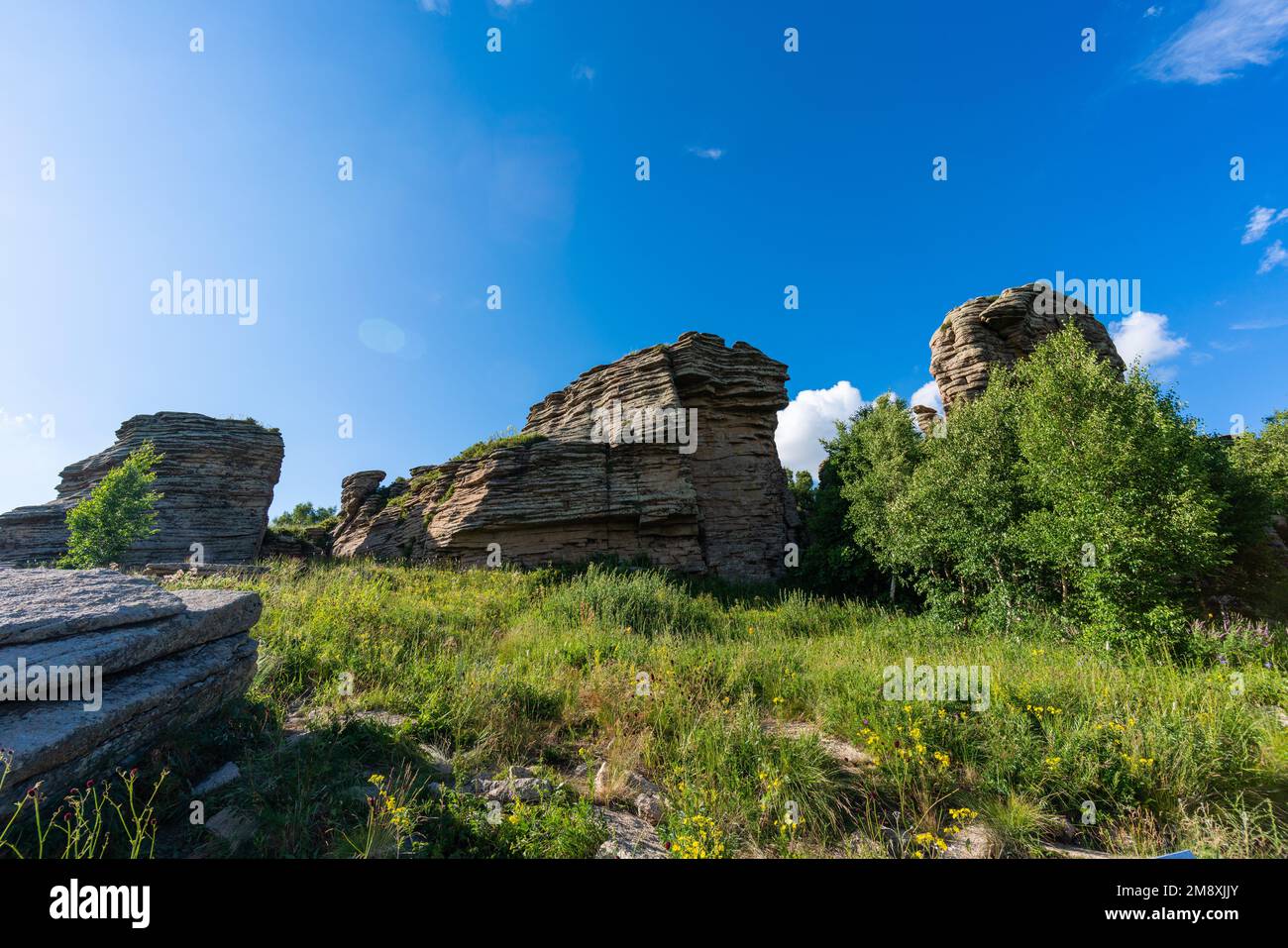 Ha figure stone forest hi-res stock photography and images - Alamy