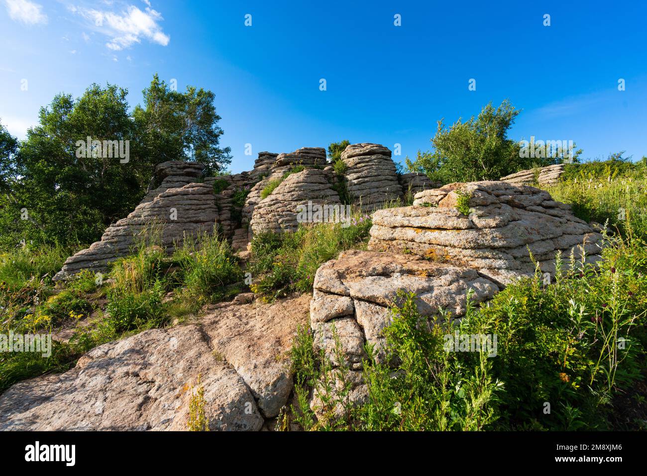 Ha figure stone forest hi-res stock photography and images - Alamy