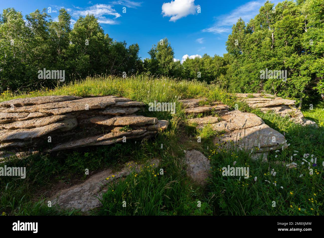 Ha figure stone forest hi-res stock photography and images - Alamy