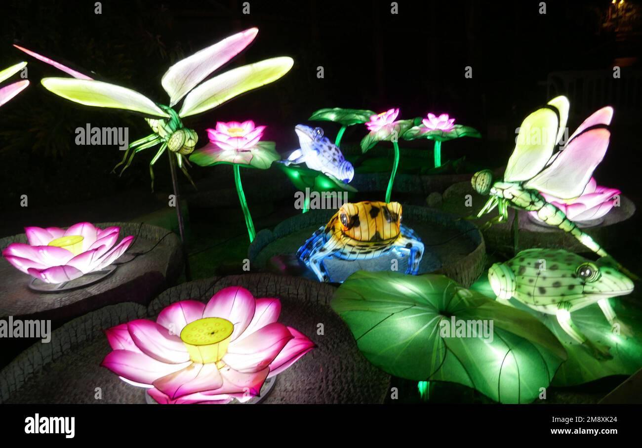 Los Angeles, California, USA 12th January 2023 Frogs and Draonflies at ...