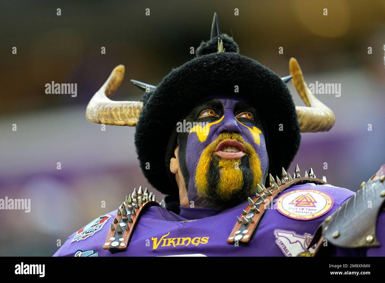 A Minnesota Vikings fan cheers before an NFL wild-card football game ...