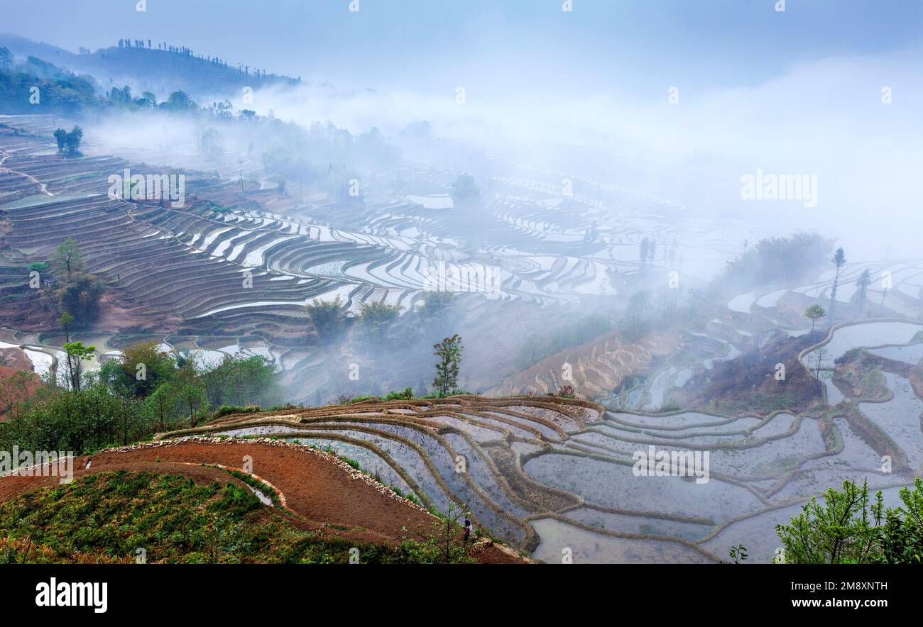 Yuan Yang terraces Stock Photo - Alamy