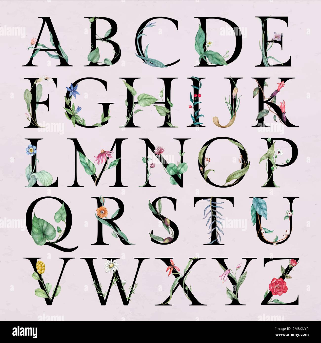 Flower decorated alphabet vector set botanical letters Stock Vector ...