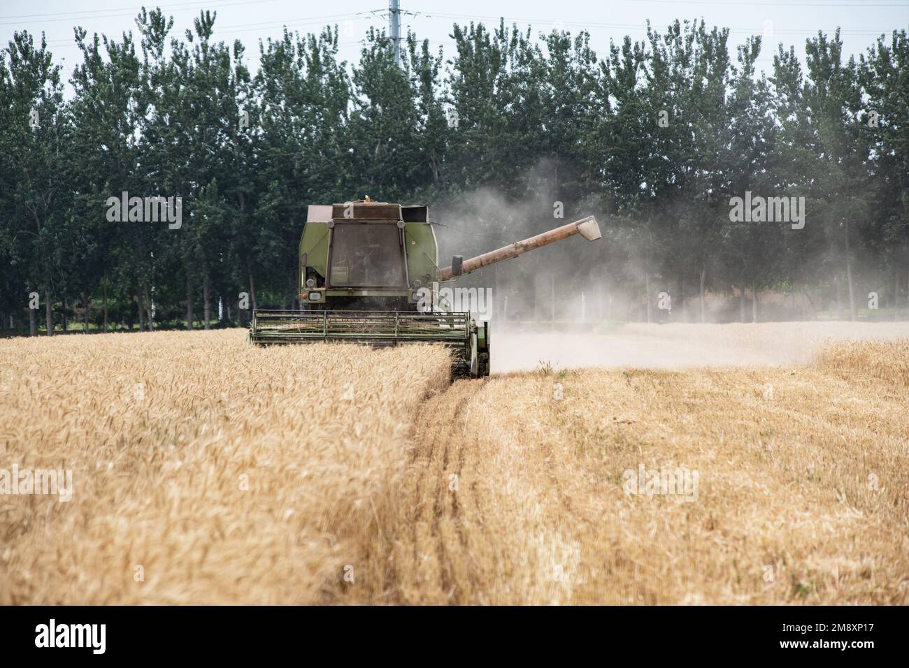 China rice combine harvester hi-res stock photography and images - Alamy