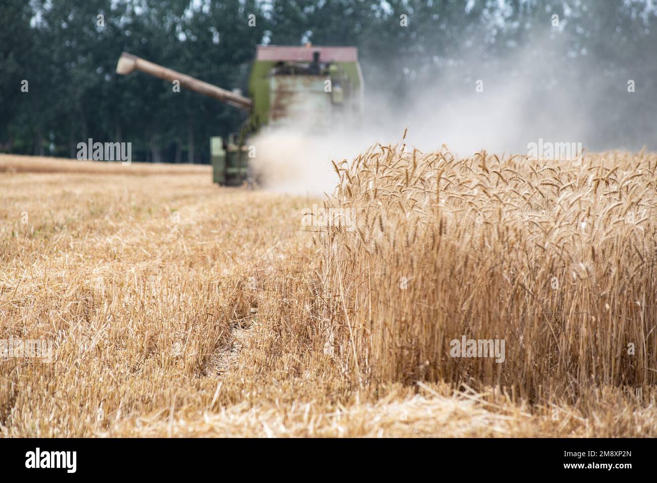 China rice combine harvester hi-res stock photography and images - Alamy