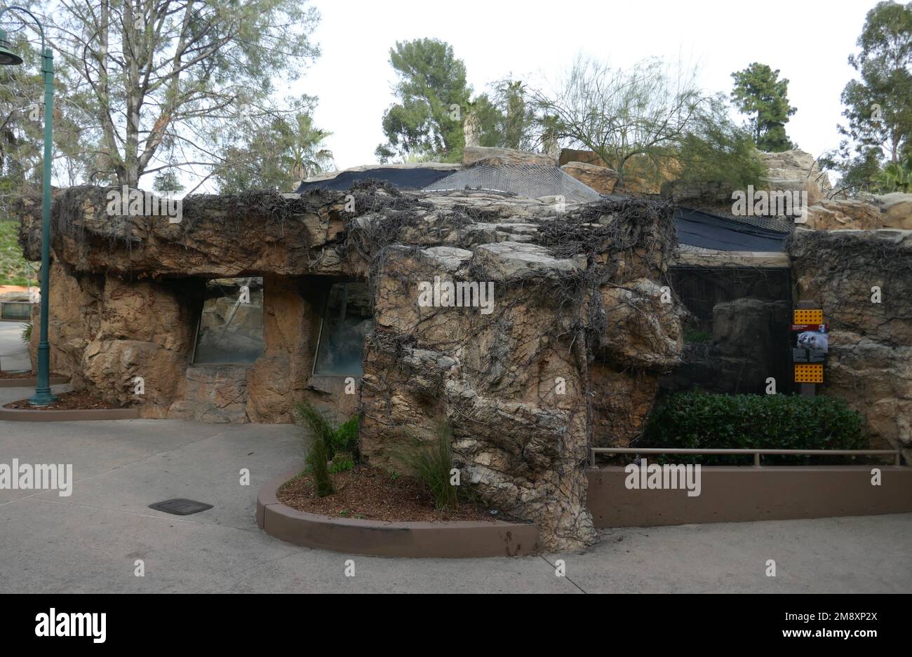 Los Angeles, California, USA 12th January 2023 American Badger Exhibit at LA Zoo on January 12 ...