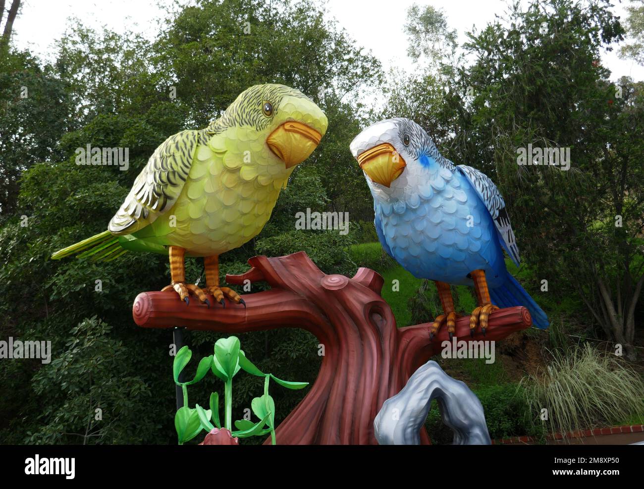 Los Angeles, California, USA 12th January 2023 Parrots at Zoo Lights ...