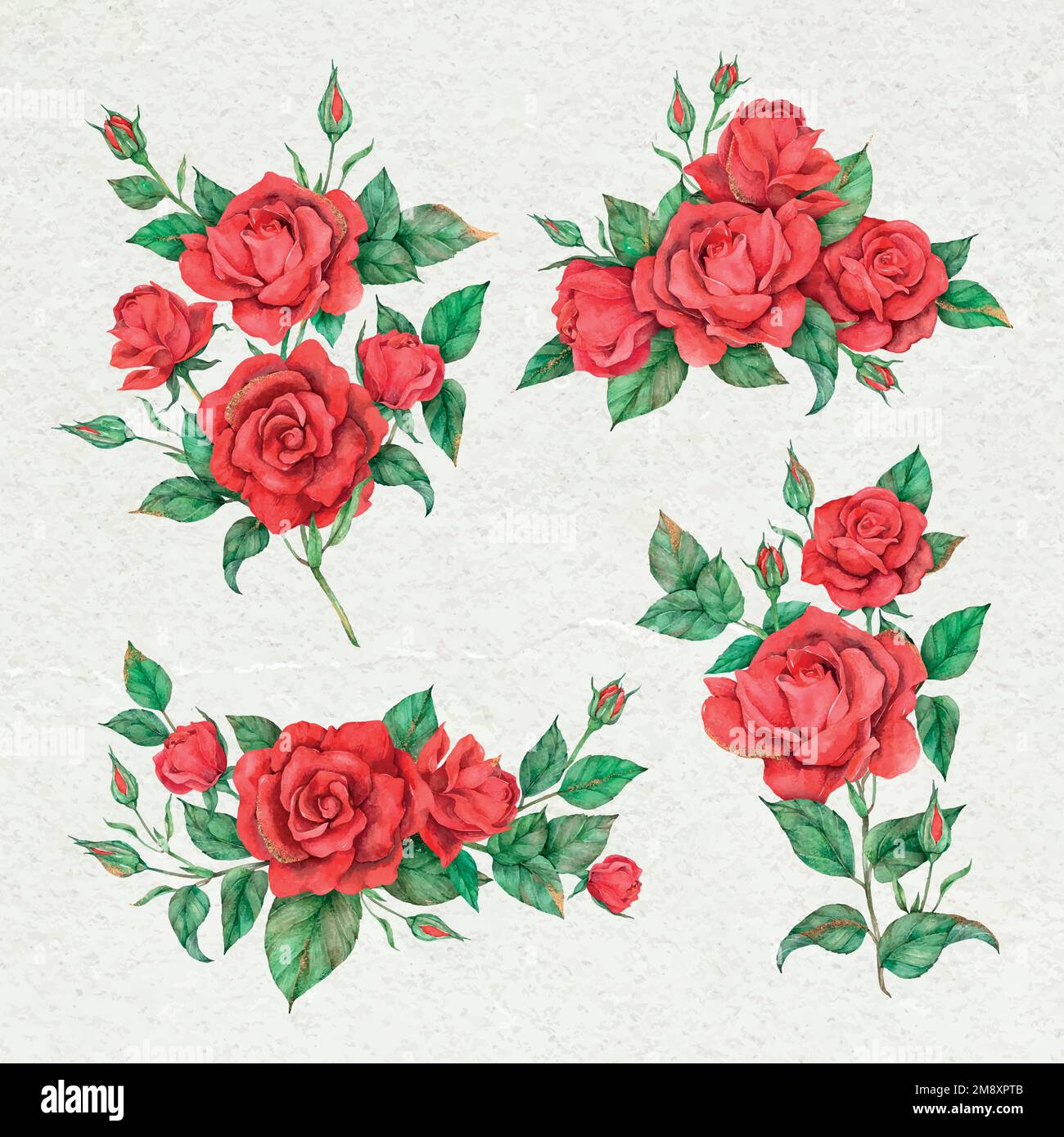 Blooming red rose flower vector set Stock Vector Image & Art - Alamy