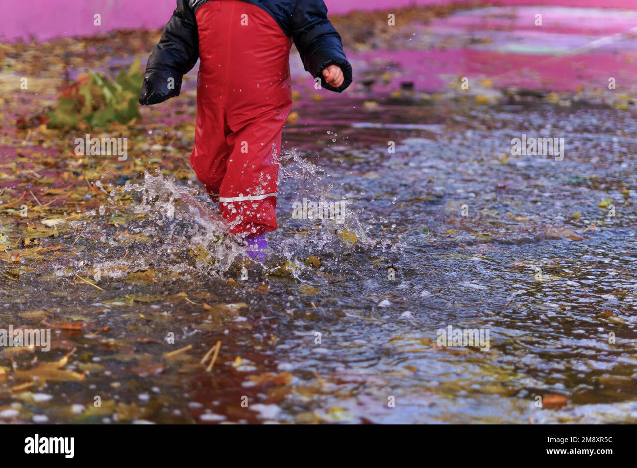 Child splashing water with boots and water pants in a puddle on a rainy ...