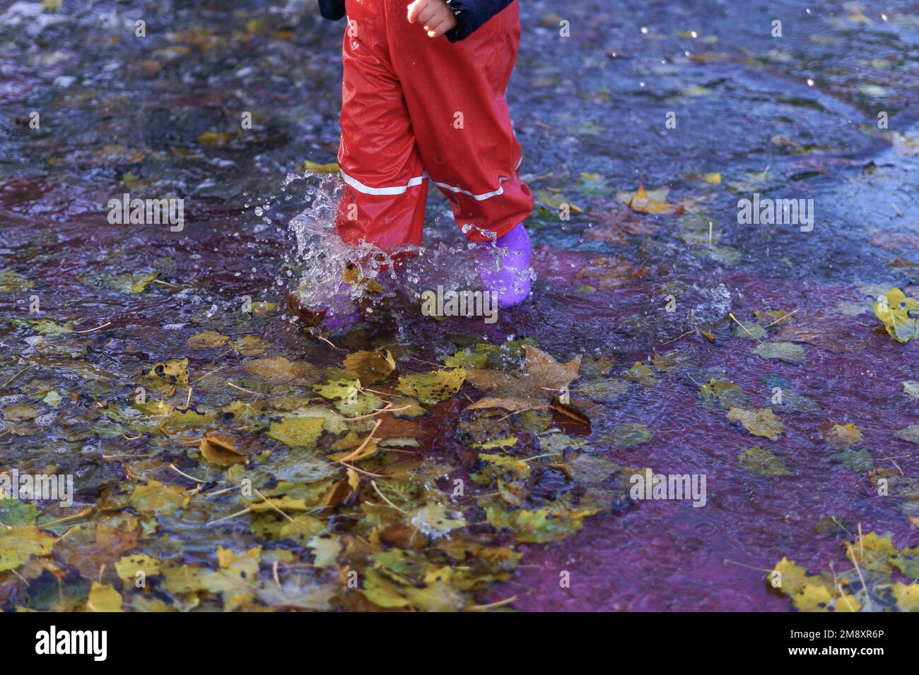Child splashing water with boots and water pants in a puddle on a rainy ...