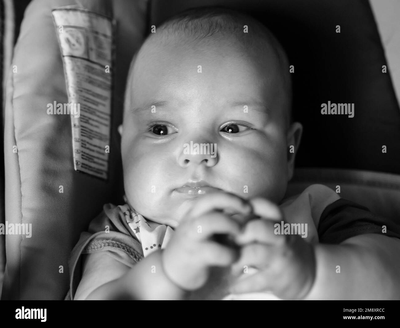 Baby Boy Pic Black And White at Ebony Butters blog