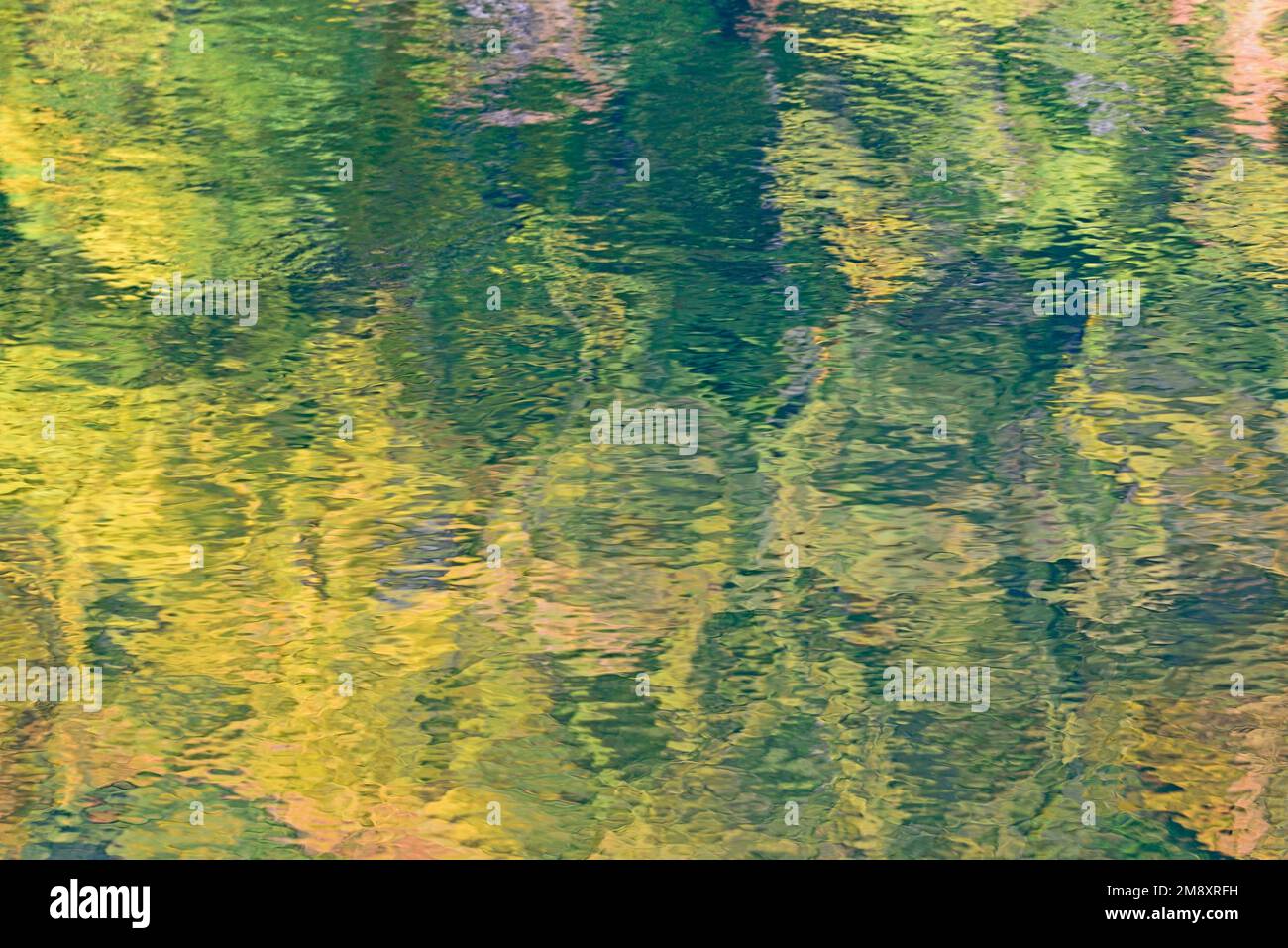 Reflection of autumn leaves on the undulating water surface, Diemelsee ...