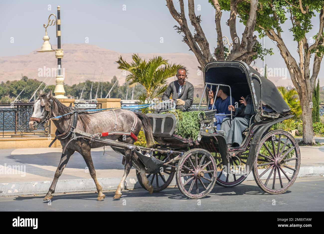 Horse-drawn carriage, tourists, Corniche waterfront, Luxor, Egypt Stock ...
