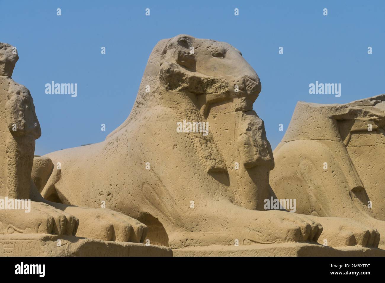 Ram-headed Sphinx, Phinx Alley in front of the 1st Pylon, Karnak Temple ...