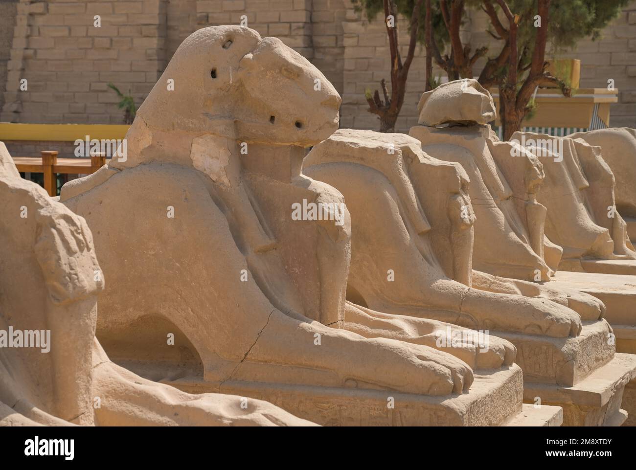 Phinx alley, ram-headed sphinxes in front of the 1st pylon, Karnak ...