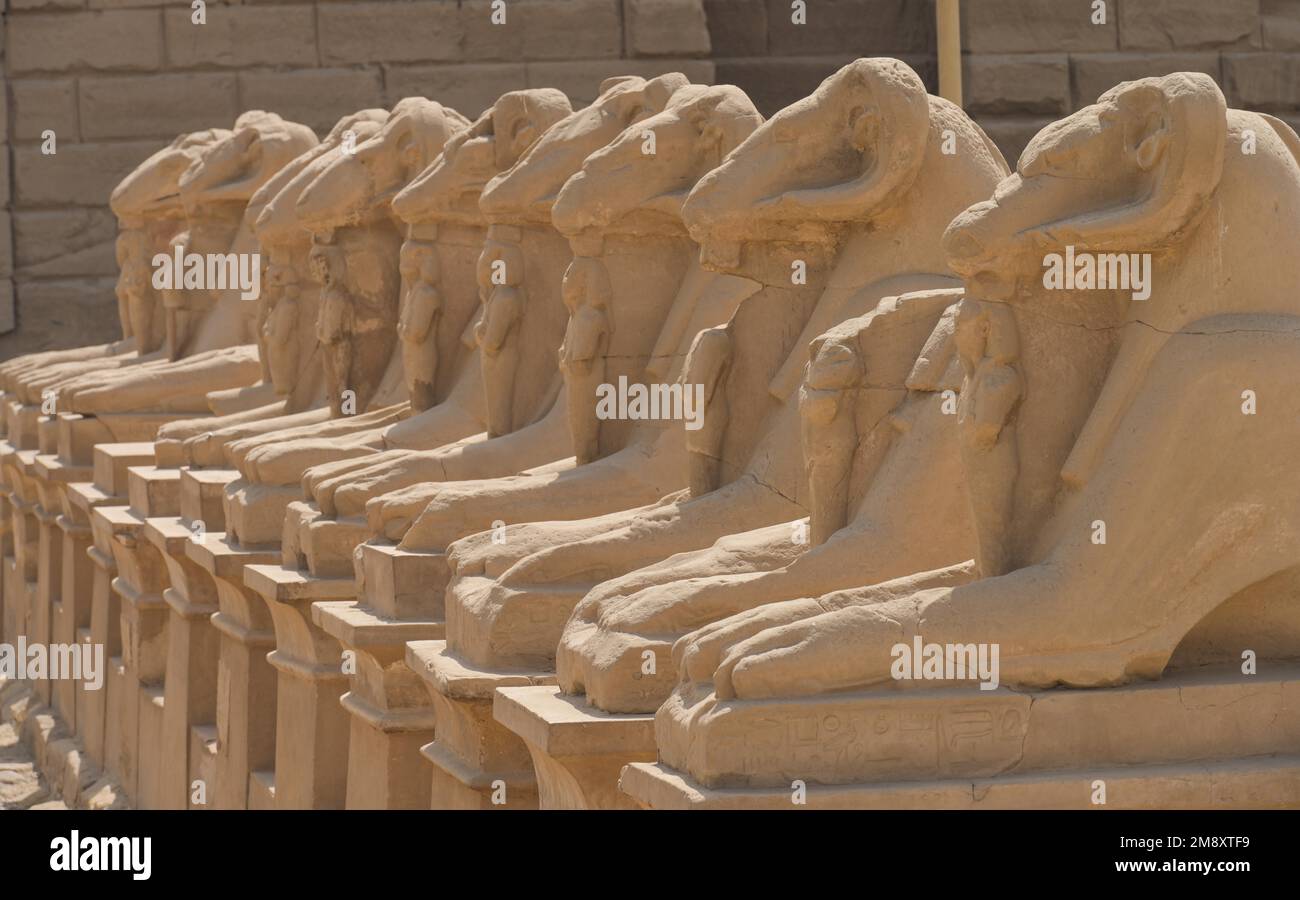 Phinx alley, ram-headed sphinxes in front of the 1st pylon, Karnak ...
