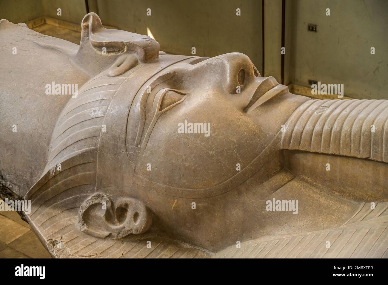 Reclining Colossal Statue of Ramses II, Museum, With Rathina, Memphis ...