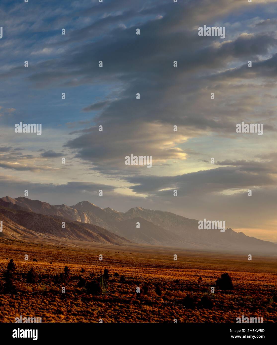 Wonder nevada hi-res stock photography and images - Alamy