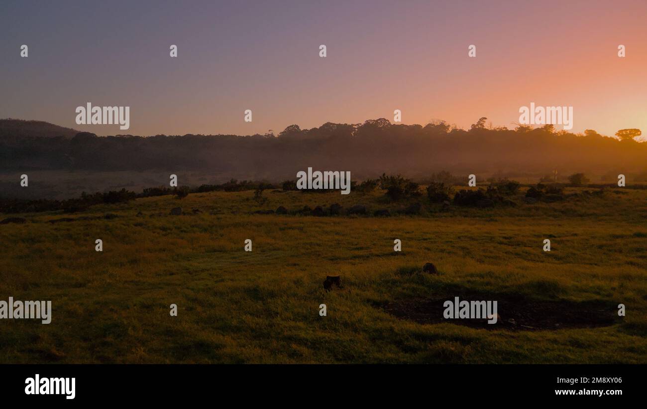 Early morning view from the Shaw Creek Campground along Shaw Creek in ...