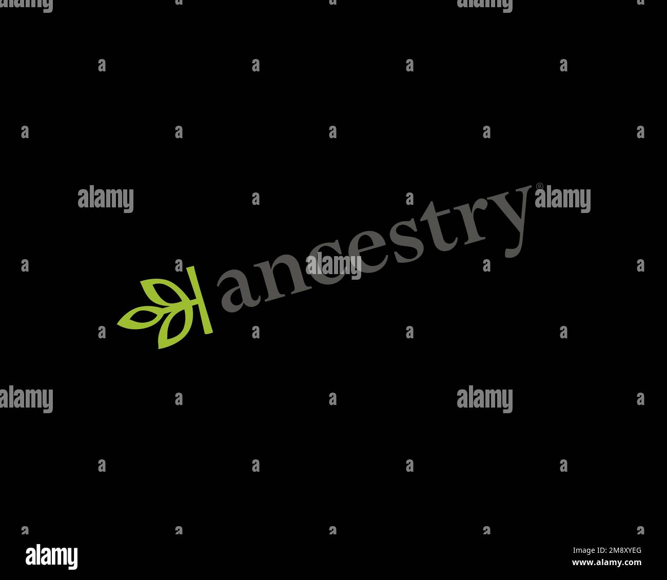 Black ancestry hi-res stock photography and images - Alamy