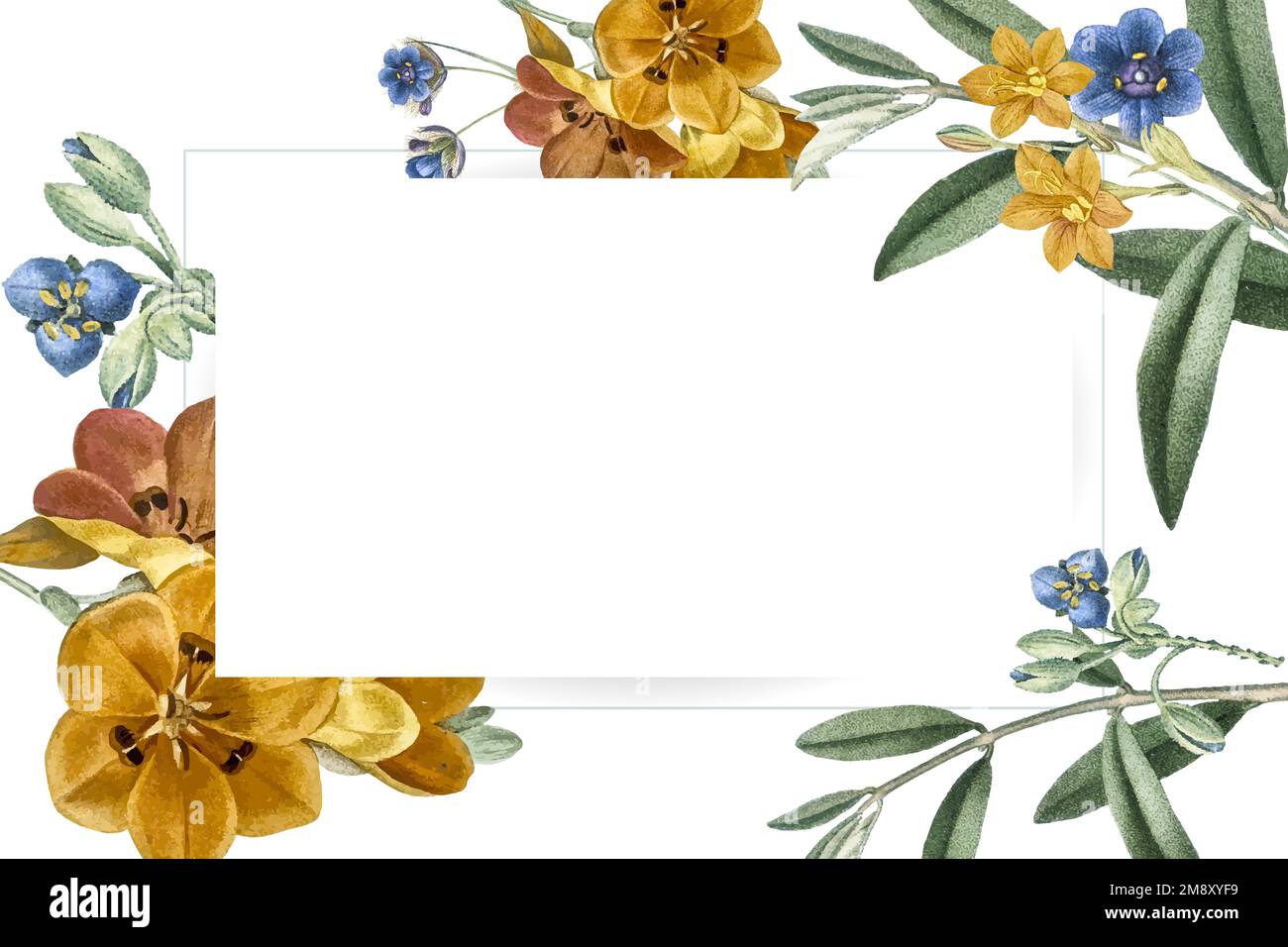 Floral rectangle frame design vector Stock Vector Image & Art - Alamy