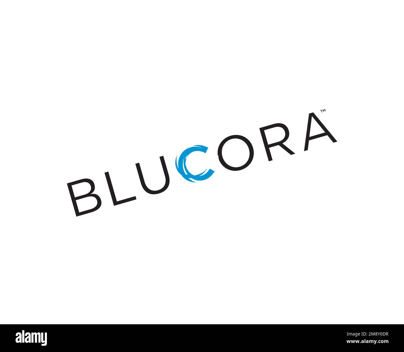 Blucora Logo