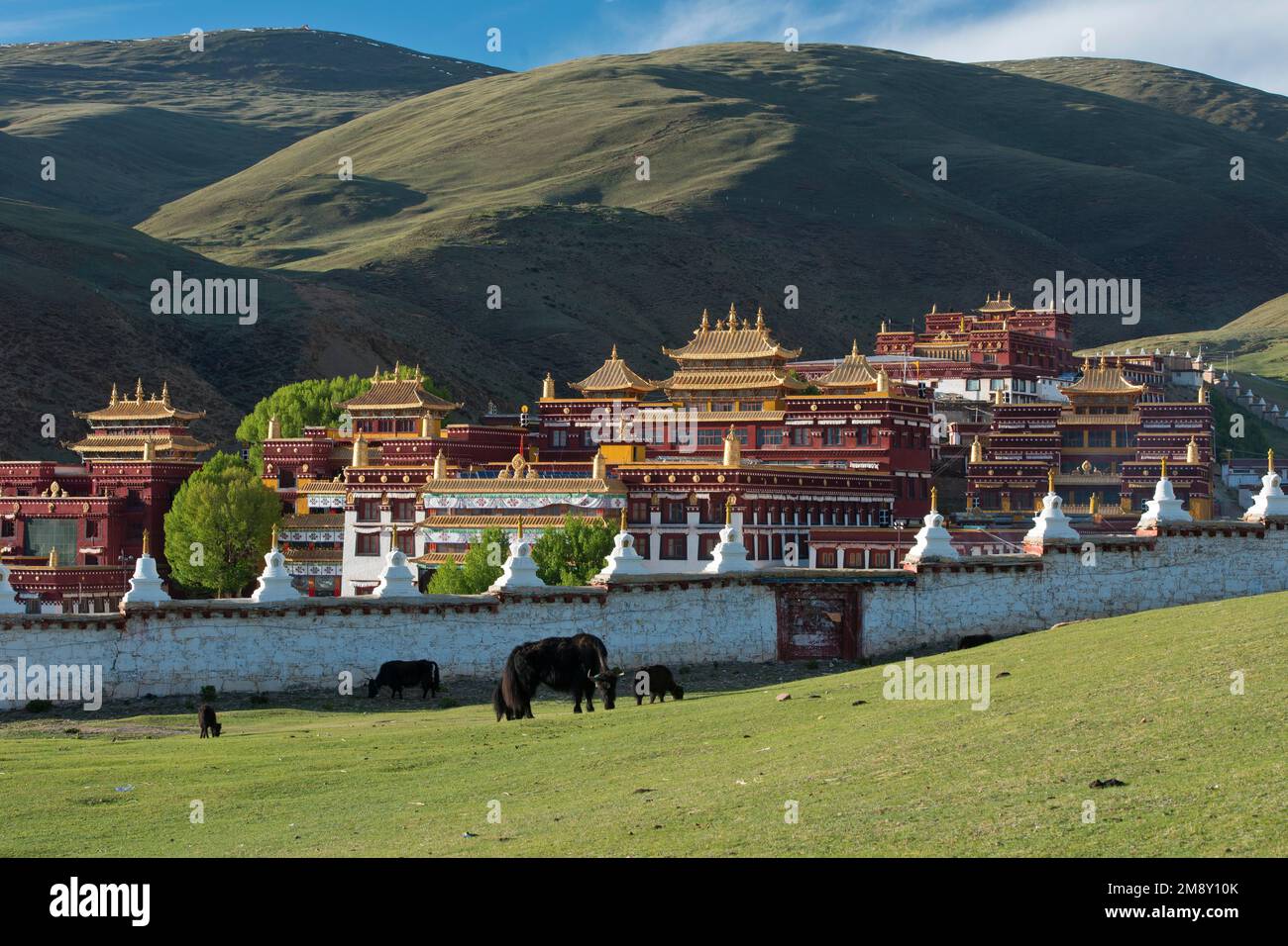 Sichuan tibet hi-res stock photography and images - Alamy